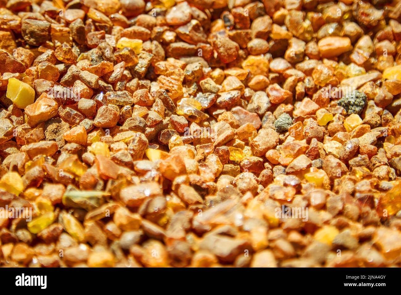 Amber, mineraloid, petrified fossil tree resin, hardened resin of the ...