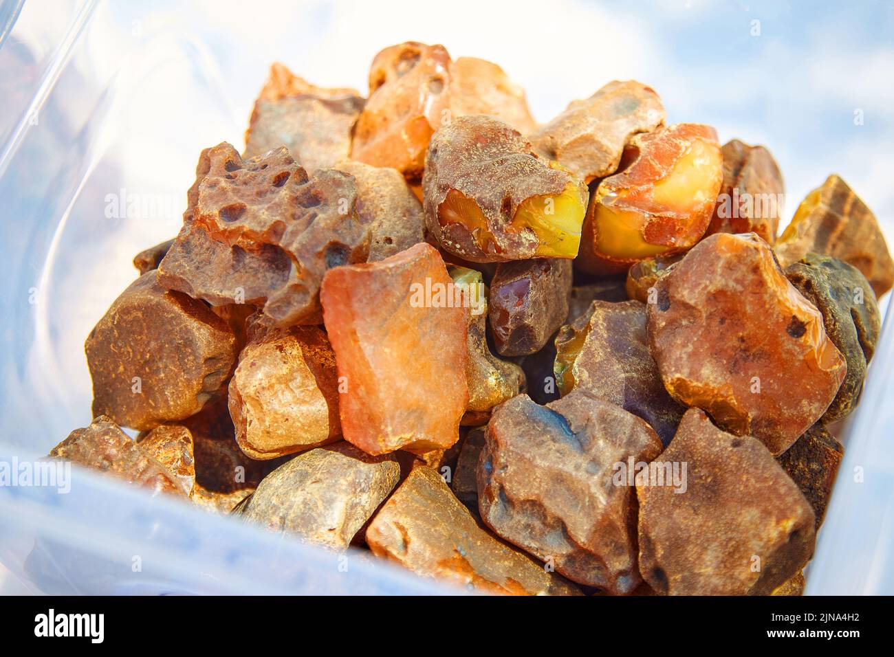 Amber, mineraloid, petrified fossil tree resin, hardened resin of the ...