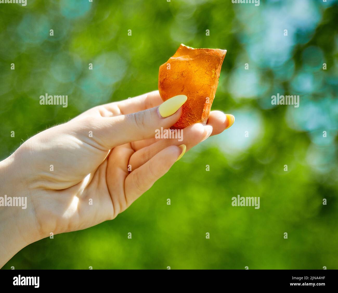 Amber, mineraloid, petrified fossil tree resin, hardened resin of the ...