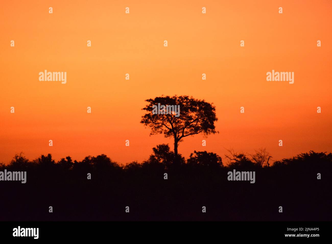 South african sunset sky hi-res stock photography and images - Alamy