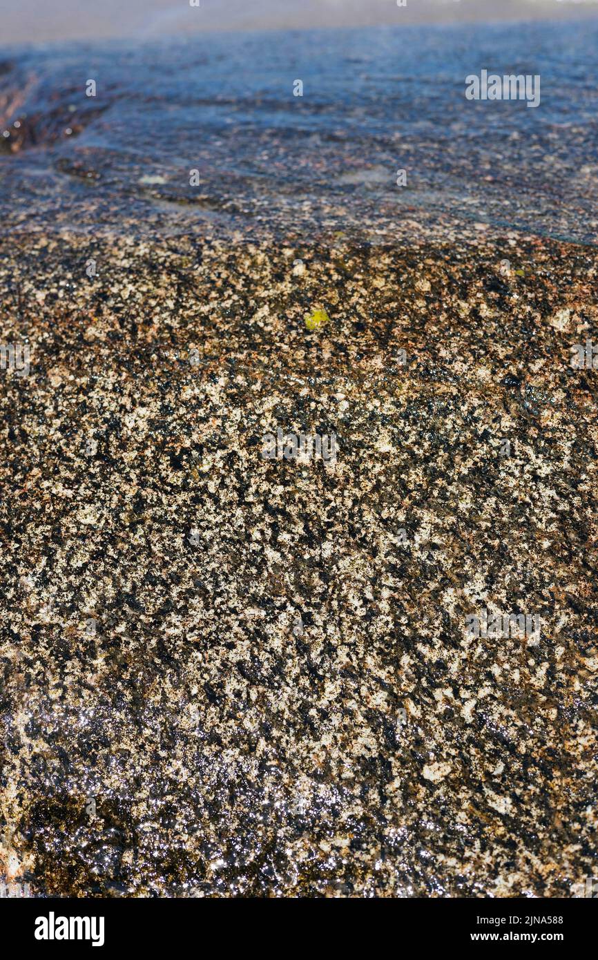 Gray granite with black and white inclusions. Granite background ...