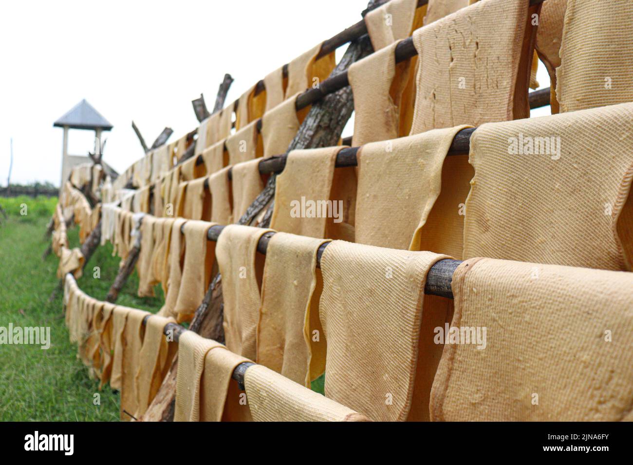 Sheets latex natural rubber hi-res stock photography and images - Alamy