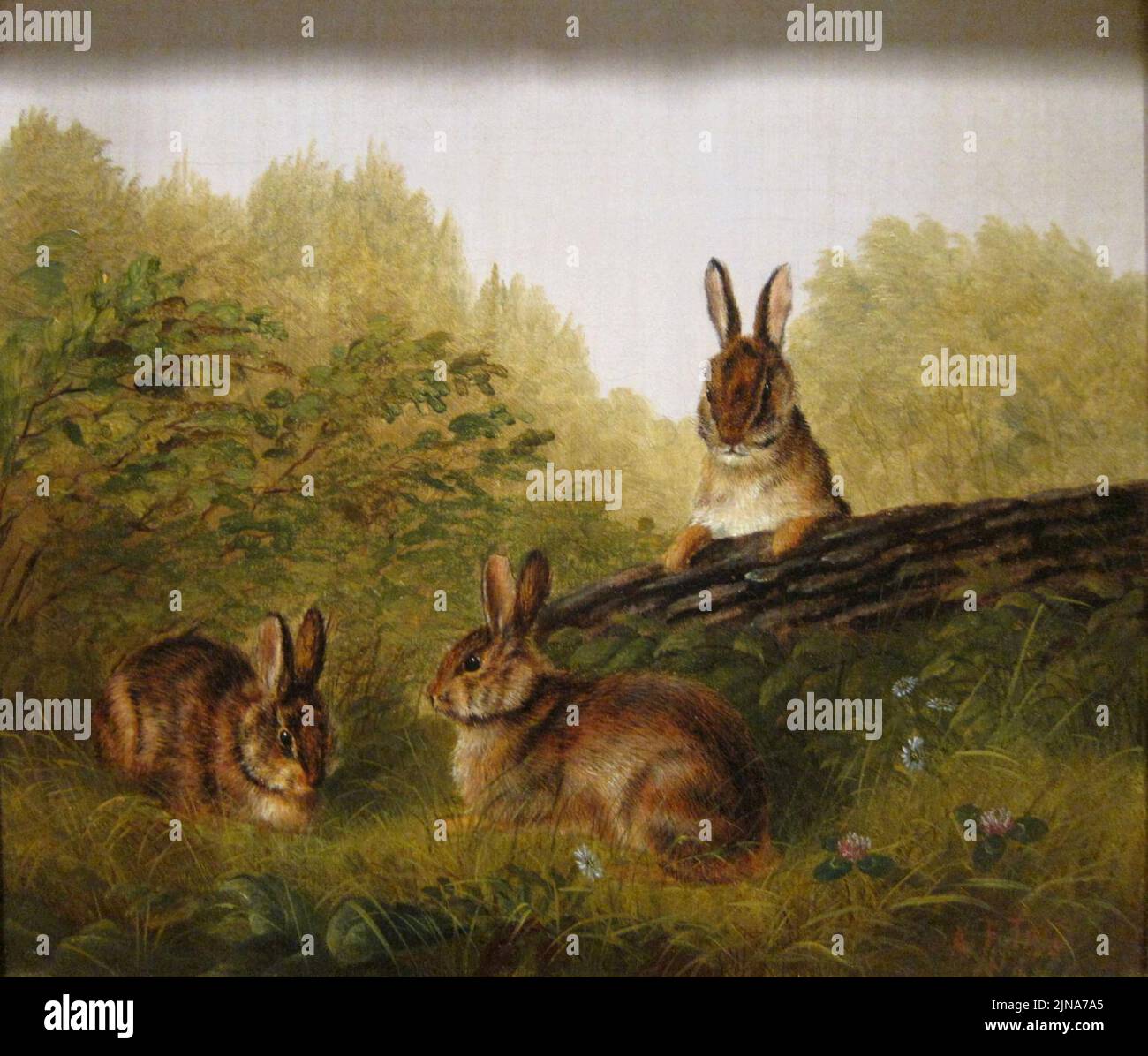 Rabbits on a Log by Arthur Fitzwilliam Tait, 1897 Stock Photo - Alamy