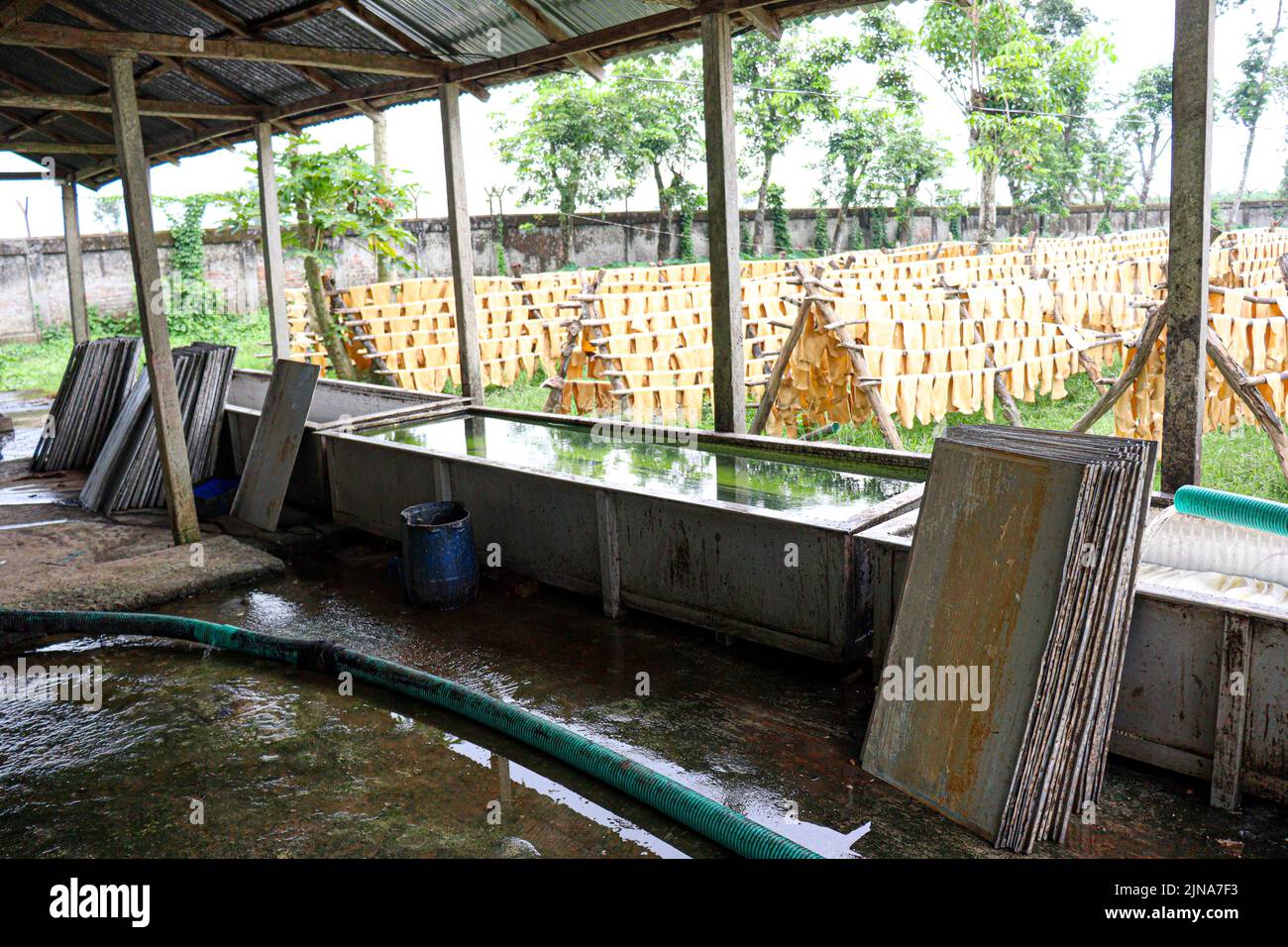 Latex processing hi-res stock photography and images - Alamy