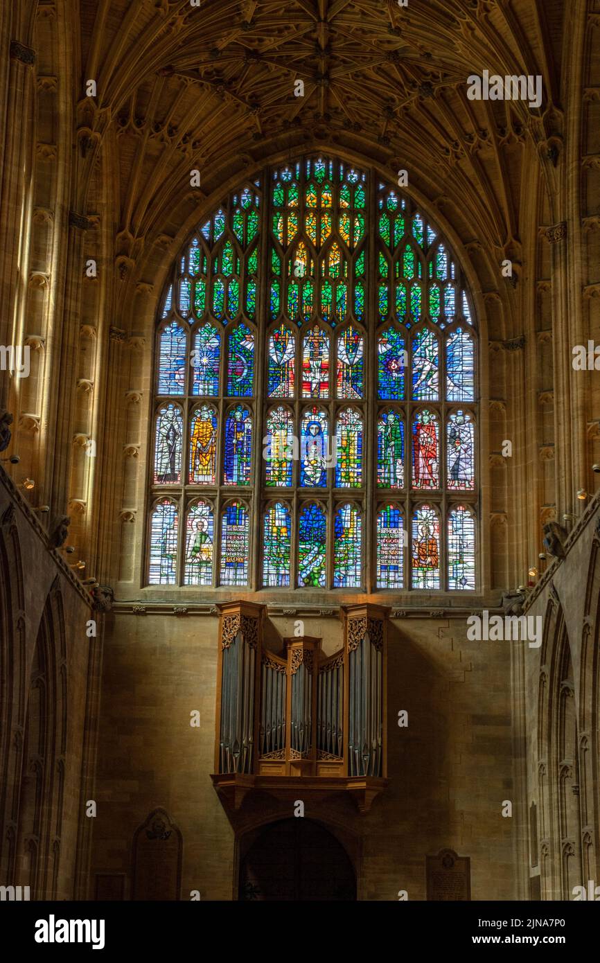 The west window and organ Sherborne Abbey, Dorset Stock Photo - Alamy
