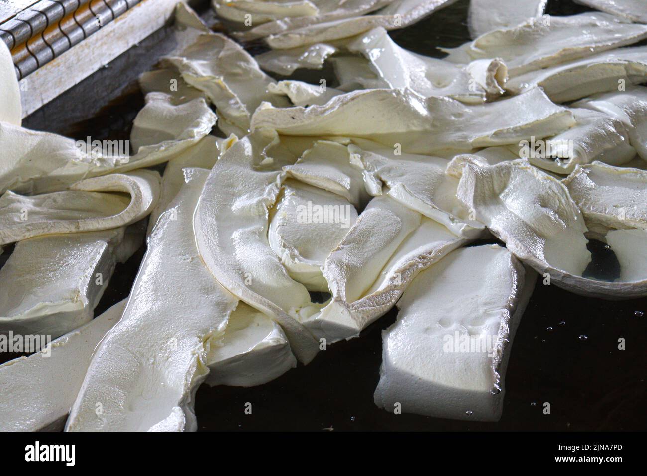 natural raw rubber Sheets on factory for refining drying and processing ...