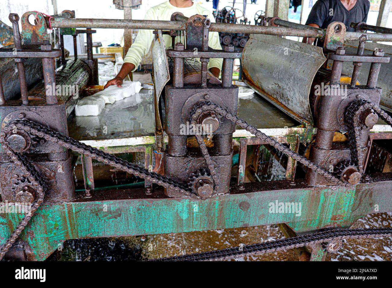 a factory of natural raw rubber for refining drying and processing ...