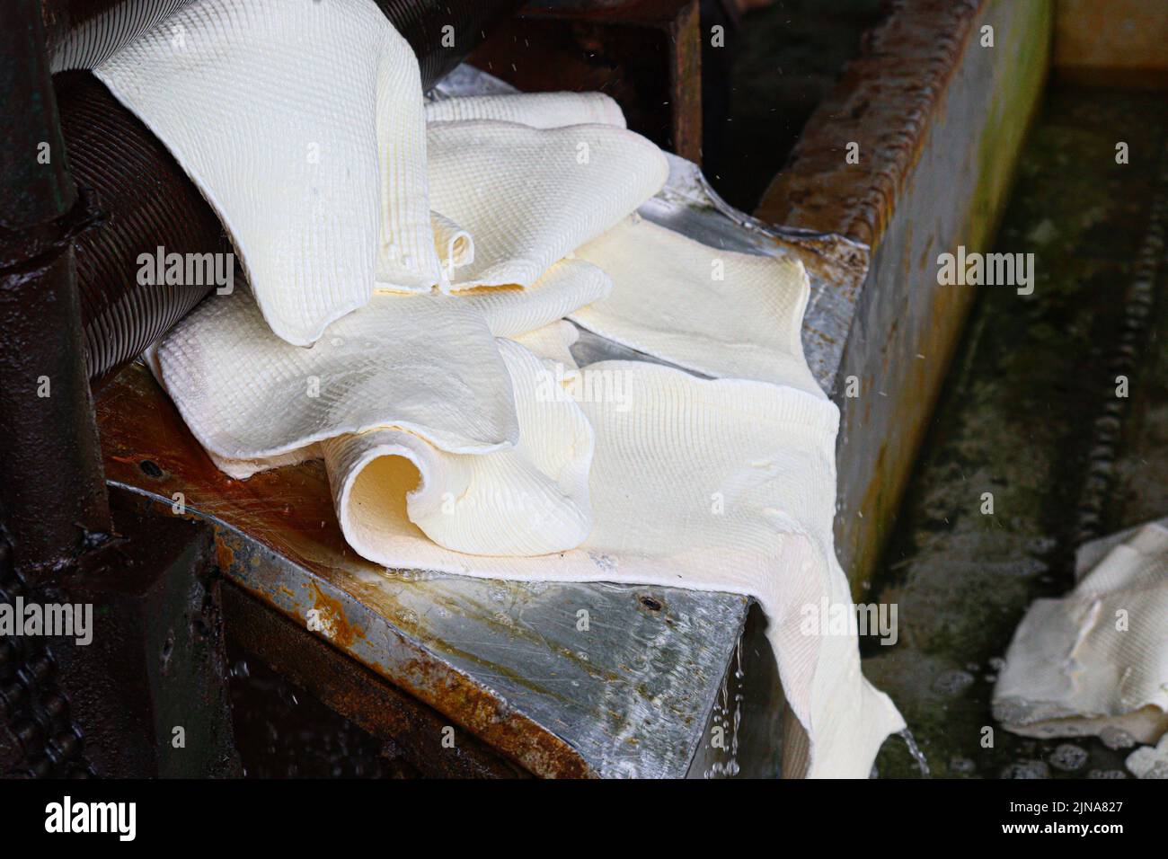 natural raw rubber Sheets on factory for refining drying and processing ...