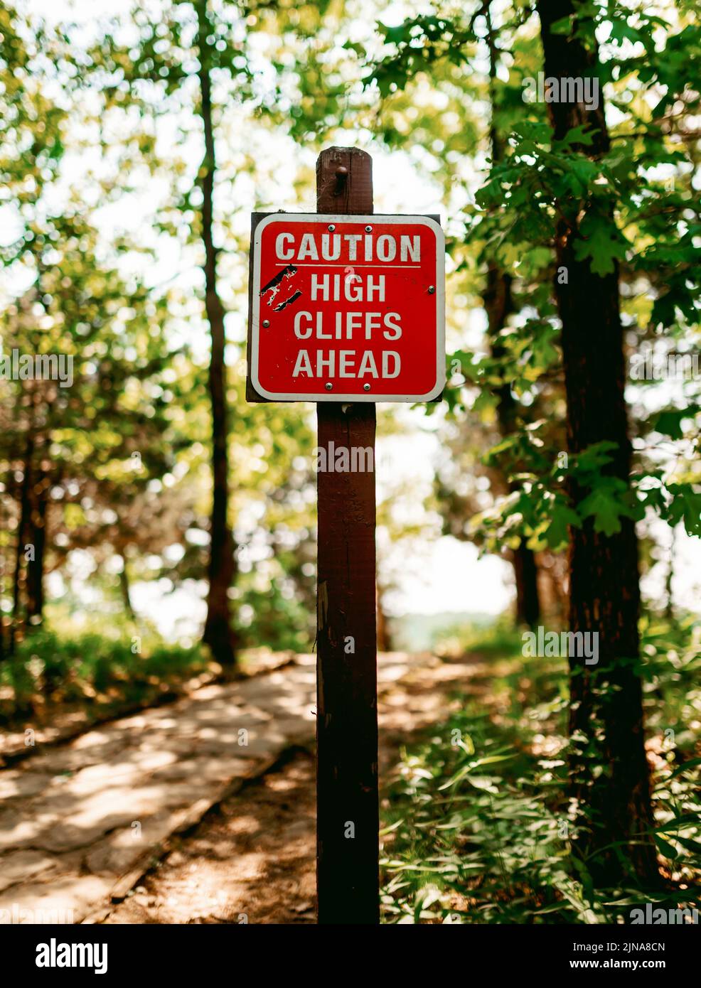 A vertical shot of a red square-shaped warning sign in a forest in ...