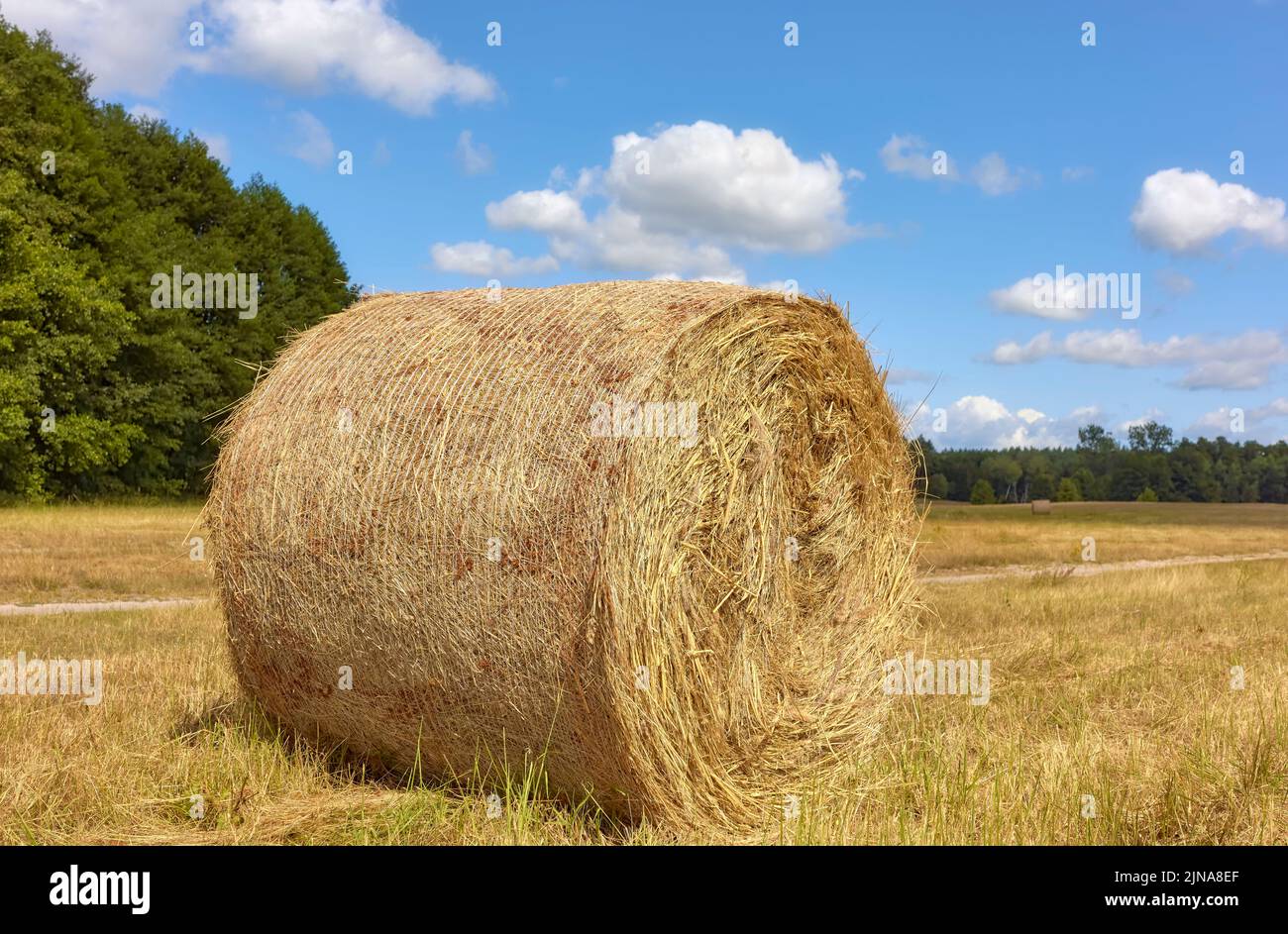 Bale harvest hay hi-res stock photography and images - Alamy