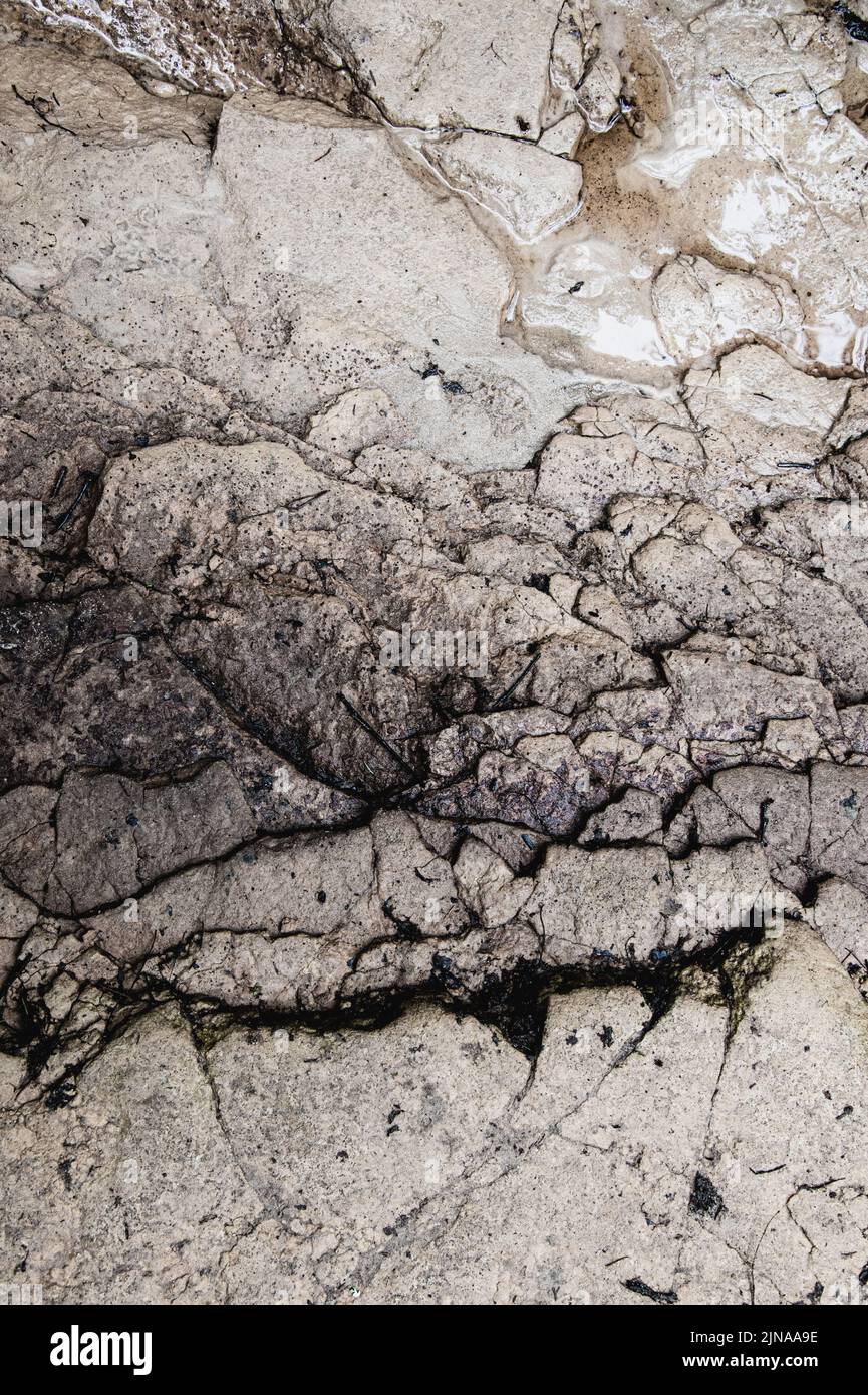 Wet limestone with cracks and a dark streak through the middle Stock ...