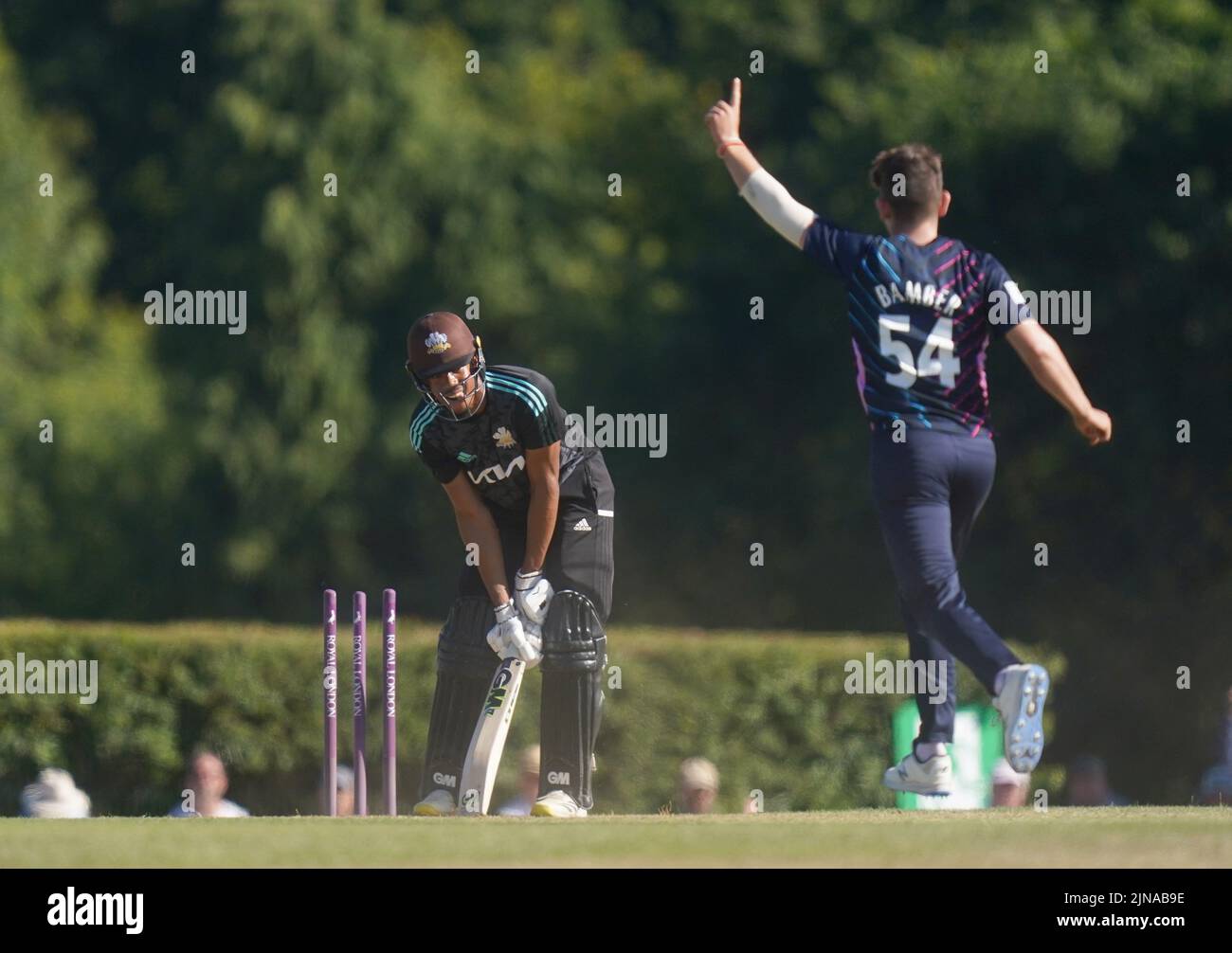 Middlesex v surrey royal london cup hi-res stock photography and images ...