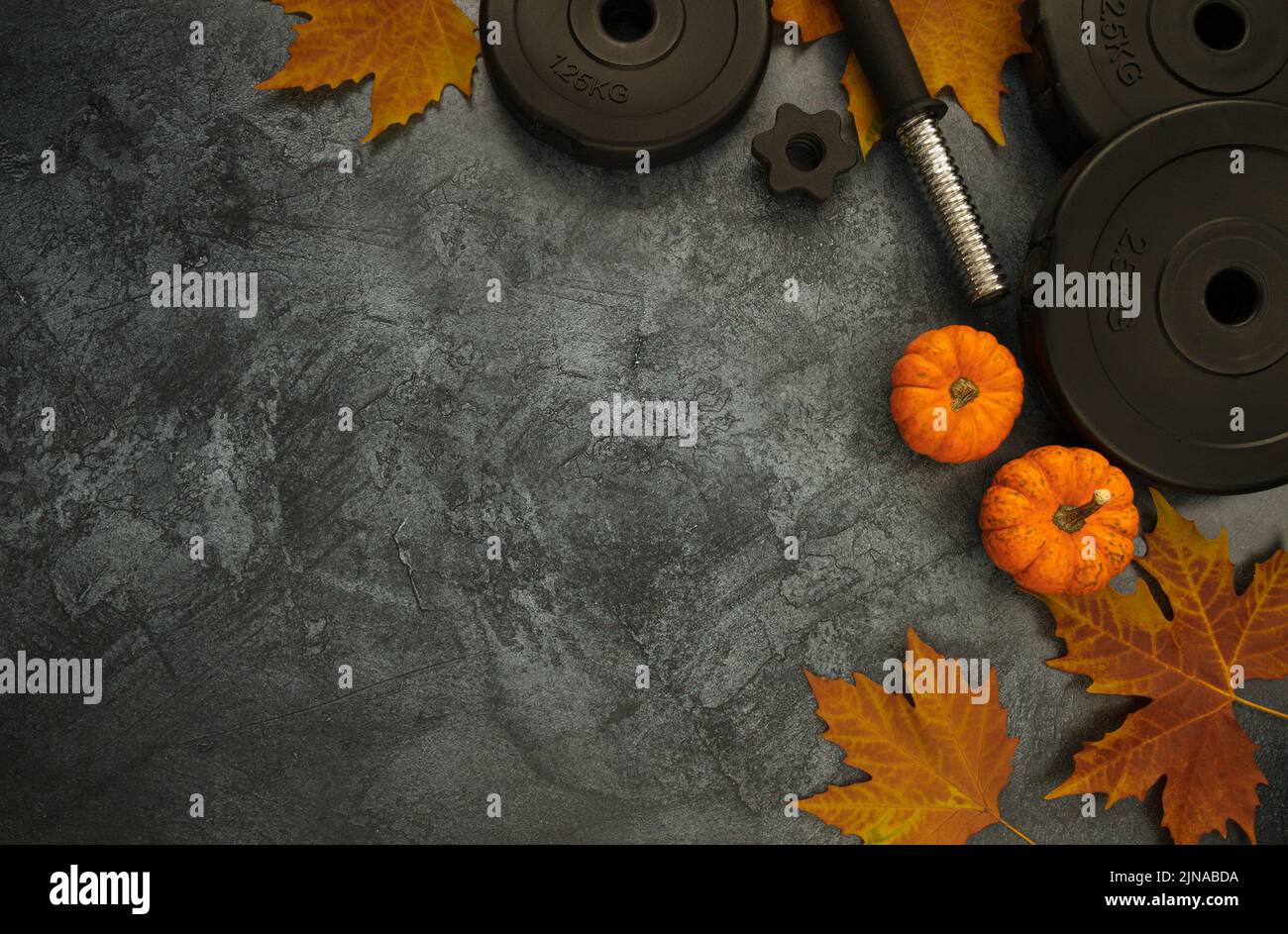 Heavy dumbbells weight plates with small decorative pumpkins and autumn ...