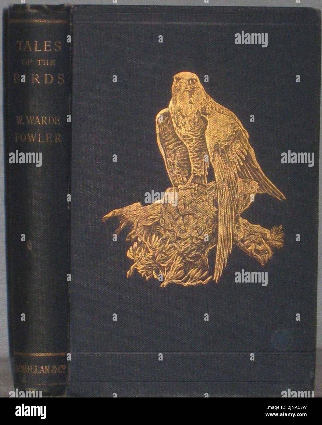 Embossed cover hi-res stock photography and images - Alamy