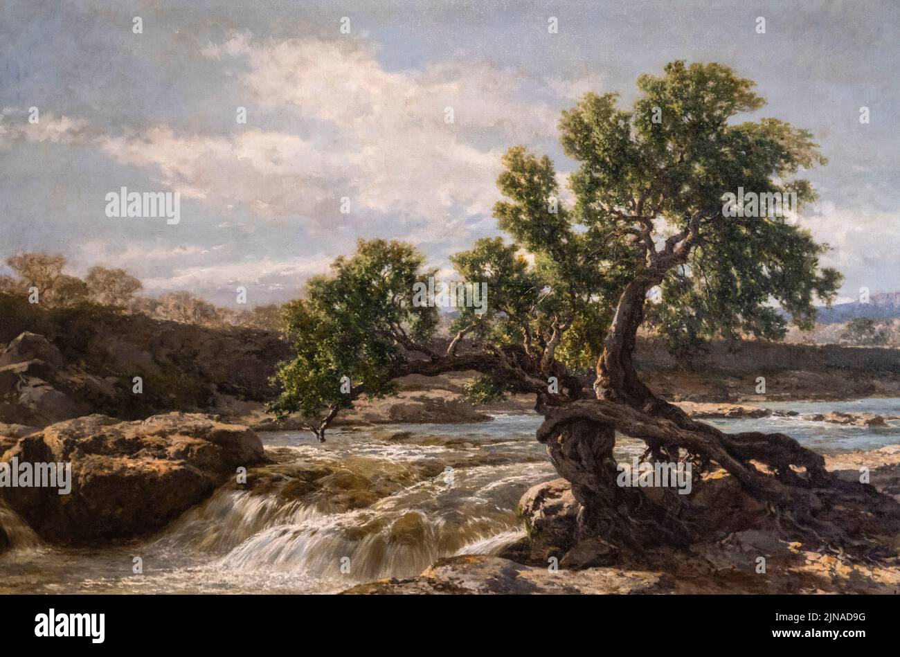 tree on the edge of a stream, Antoni Ribas Oliver, 1875, oil on canvas ...