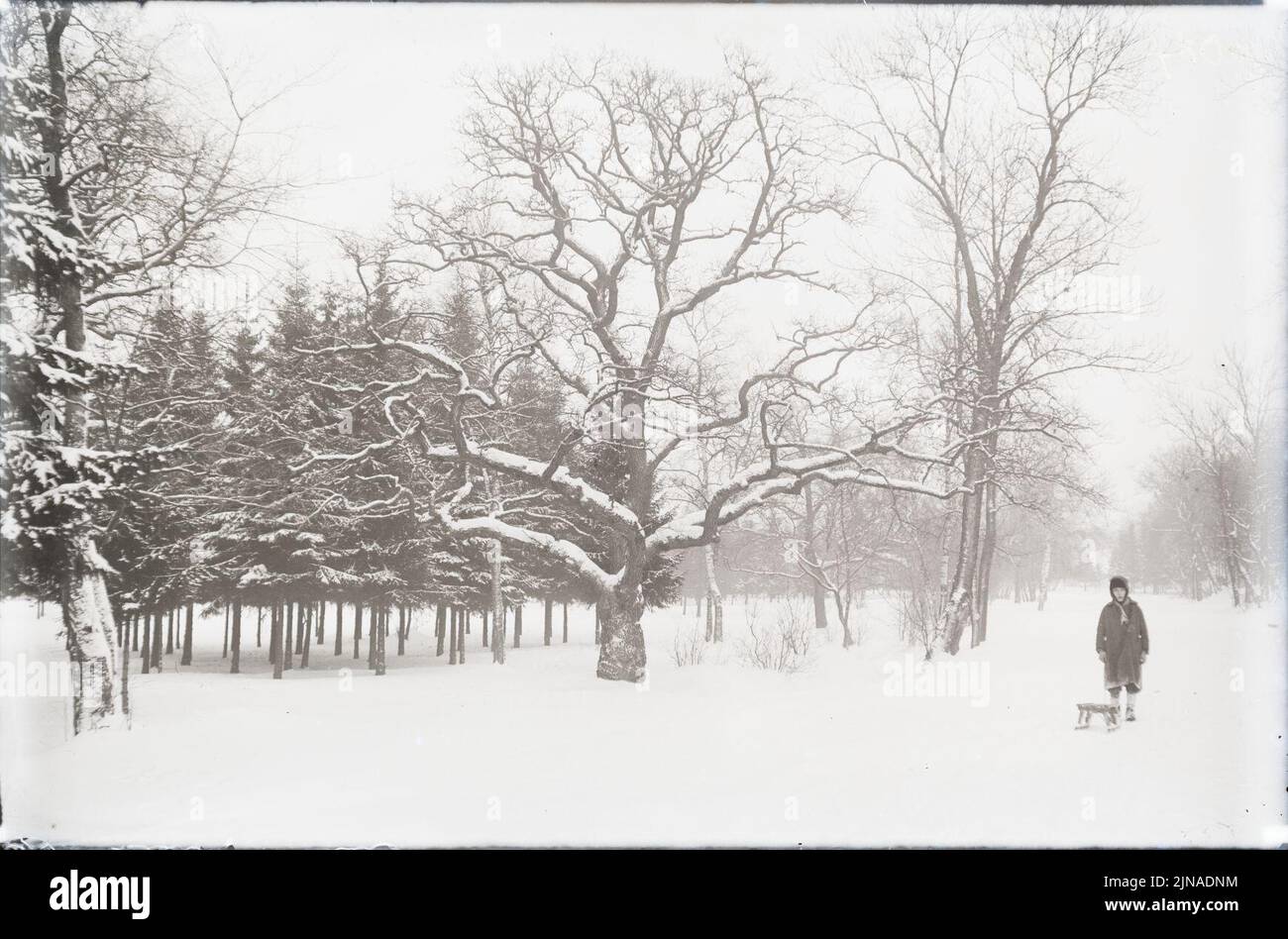 Kadrioru park in tallinn hi-res stock photography and images - Alamy