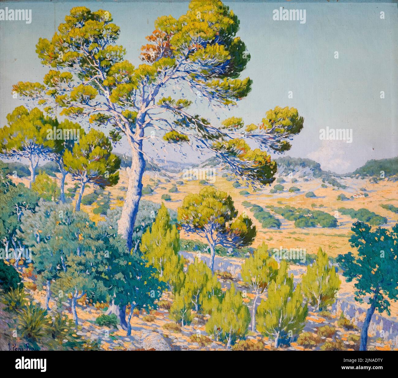 Pins a ple sol, Josep Pons Frau, oil on canvas, Museu de Mallorca ...