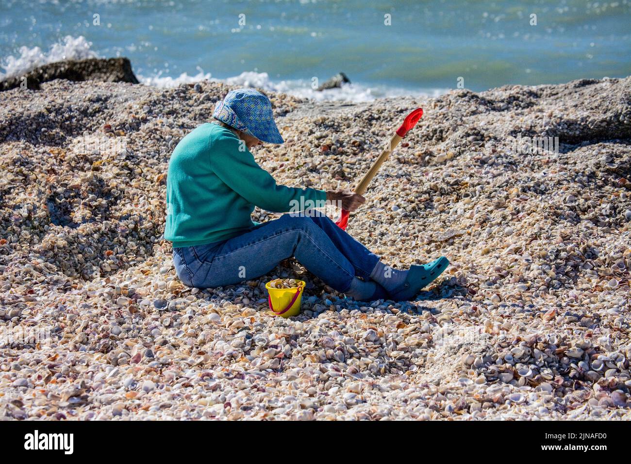Woman on beach gathering sea shells, Sanibel Captiva Island, Florida ...
