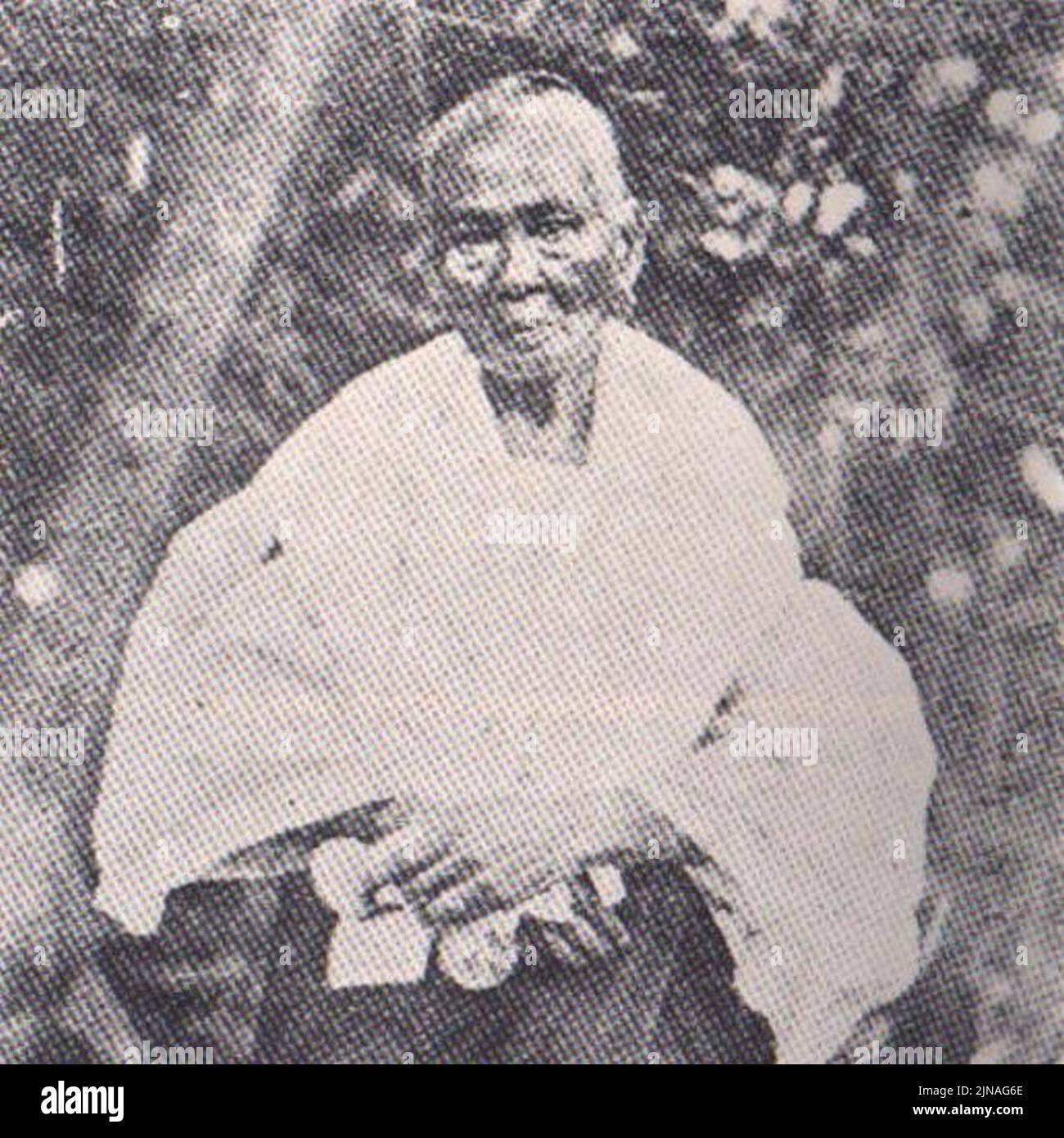 Tandang sora hi-res stock photography and images - Alamy