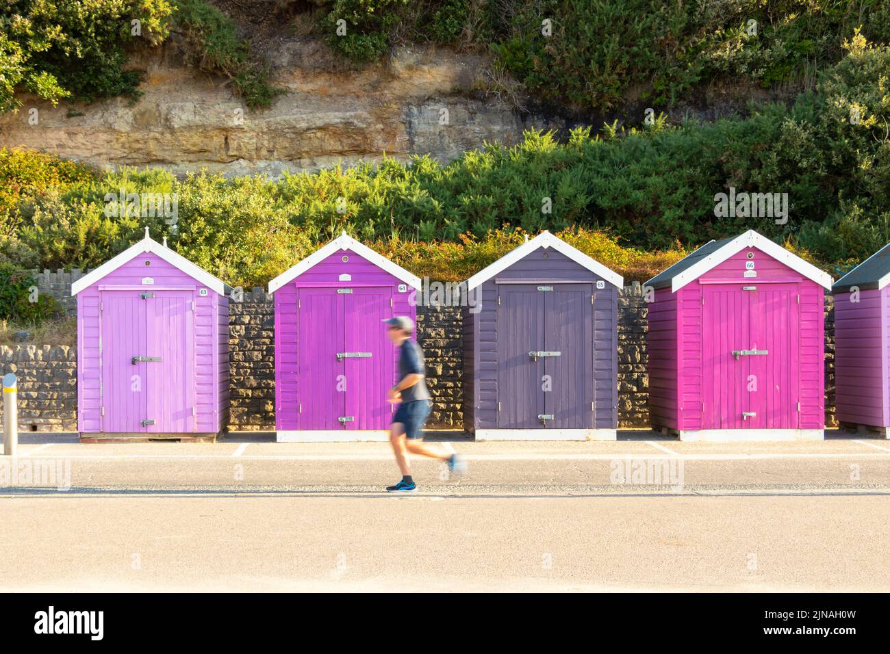 row of multicoloured purple wooden beach huts by the sea with female ...
