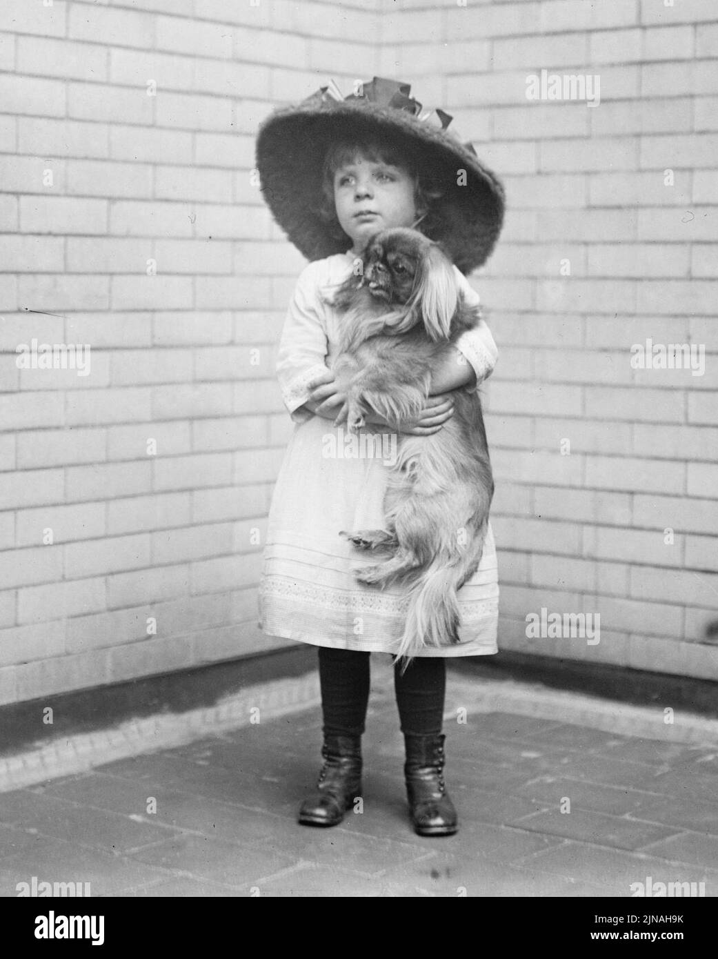 Tanis guinness hi-res stock photography and images - Alamy