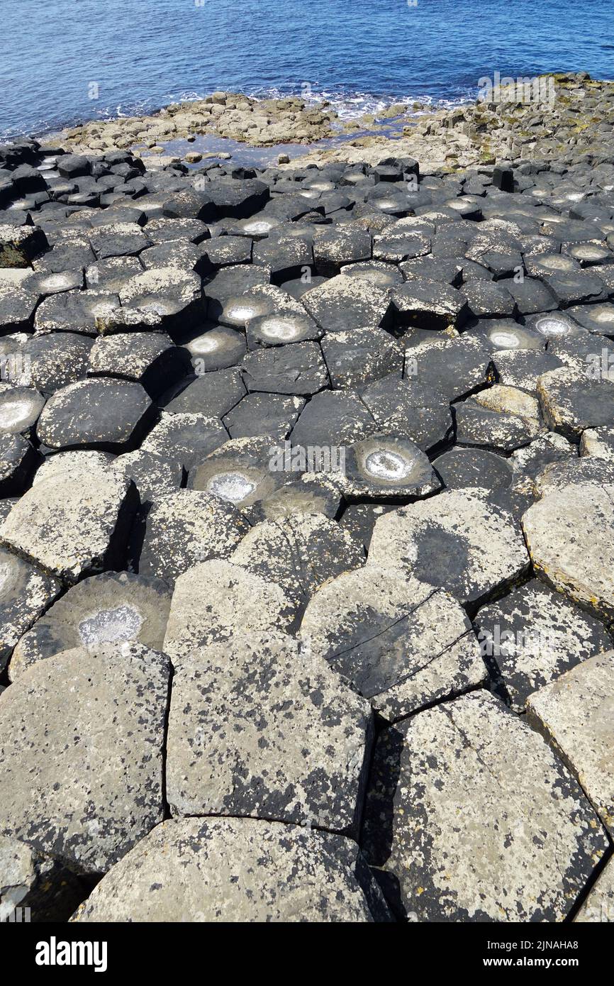 Giant's Causeway, basalt columns, national nature reserve, County ...