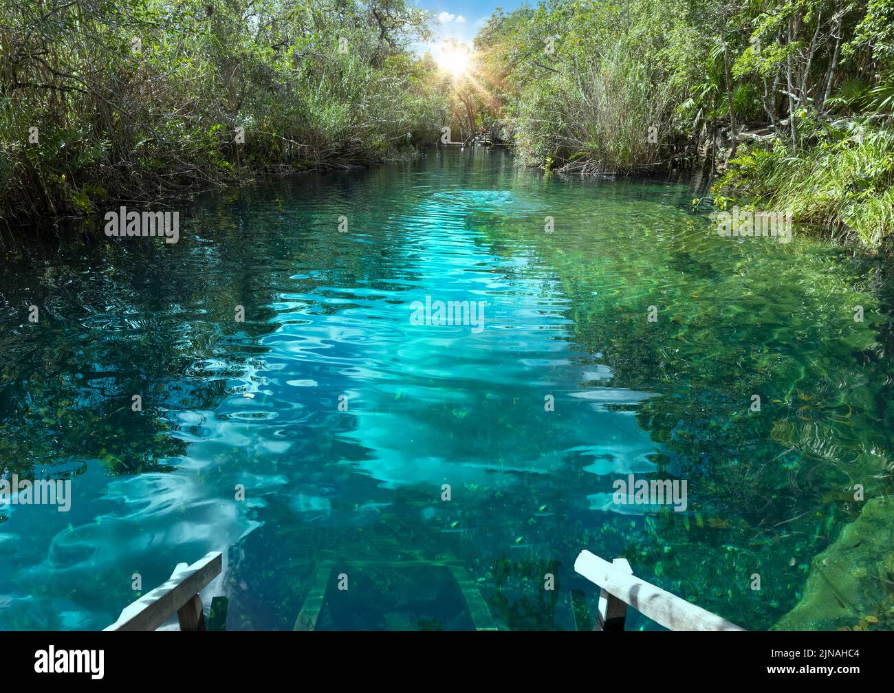 Mexico tourism destination, caves and pools of Cenote Escondido near ...