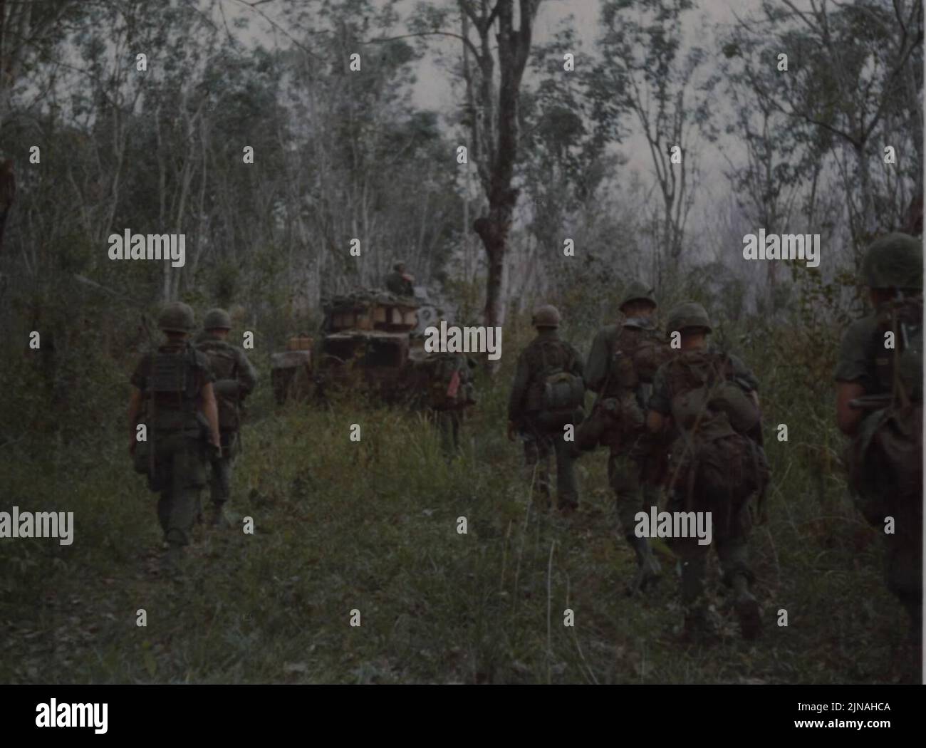 Tank infantry patrol, Operation Cedar Falls, 18 January 1967 Stock ...