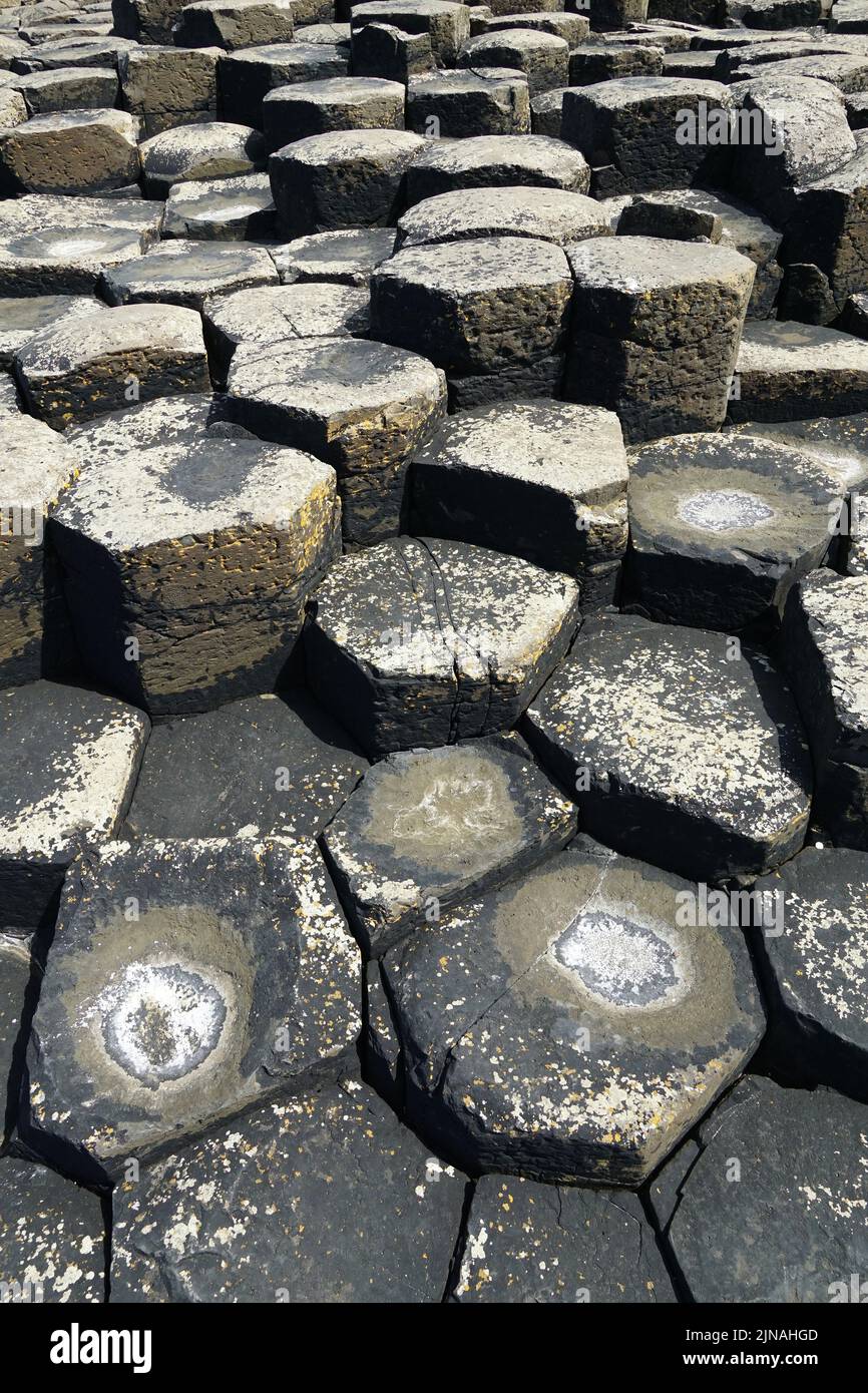 Giant's Causeway, basalt columns, national nature reserve, County ...