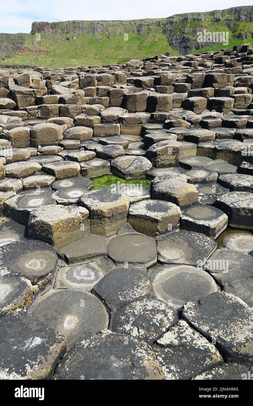 Giant's Causeway, basalt columns, national nature reserve, County ...