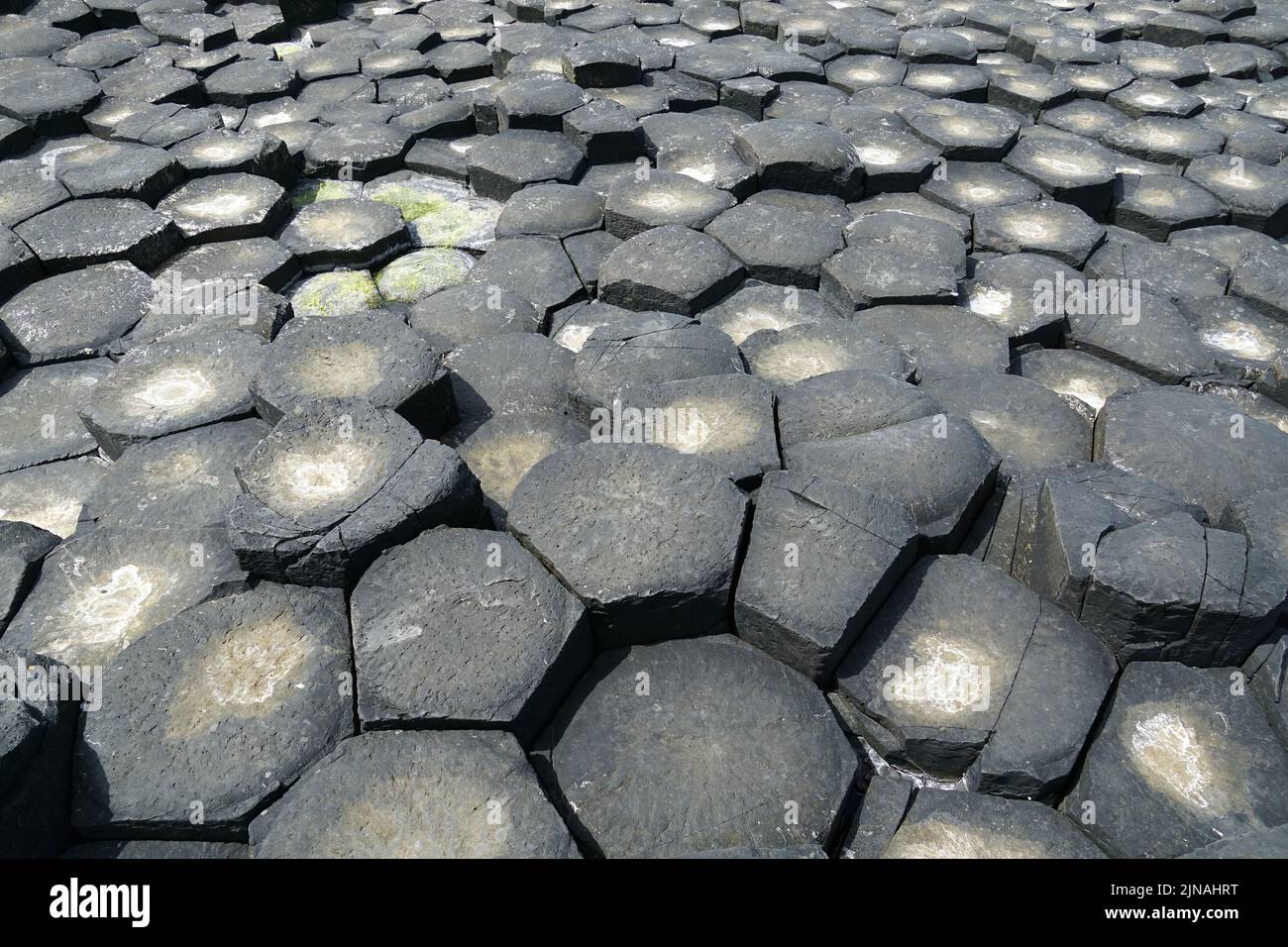 Giant's Causeway, basalt columns, national nature reserve, County ...
