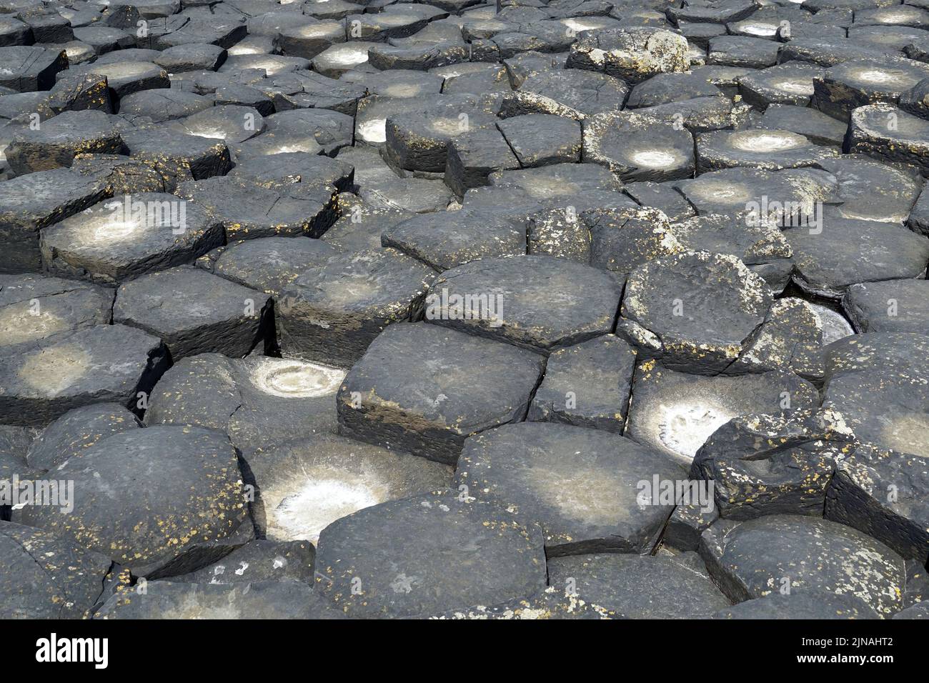 Giant's Causeway, basalt columns, national nature reserve, County ...