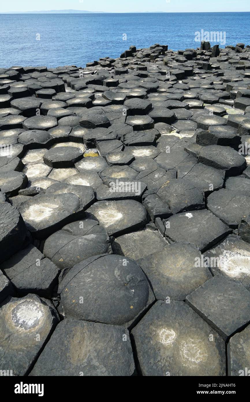 Giant's Causeway, basalt columns, national nature reserve, County ...