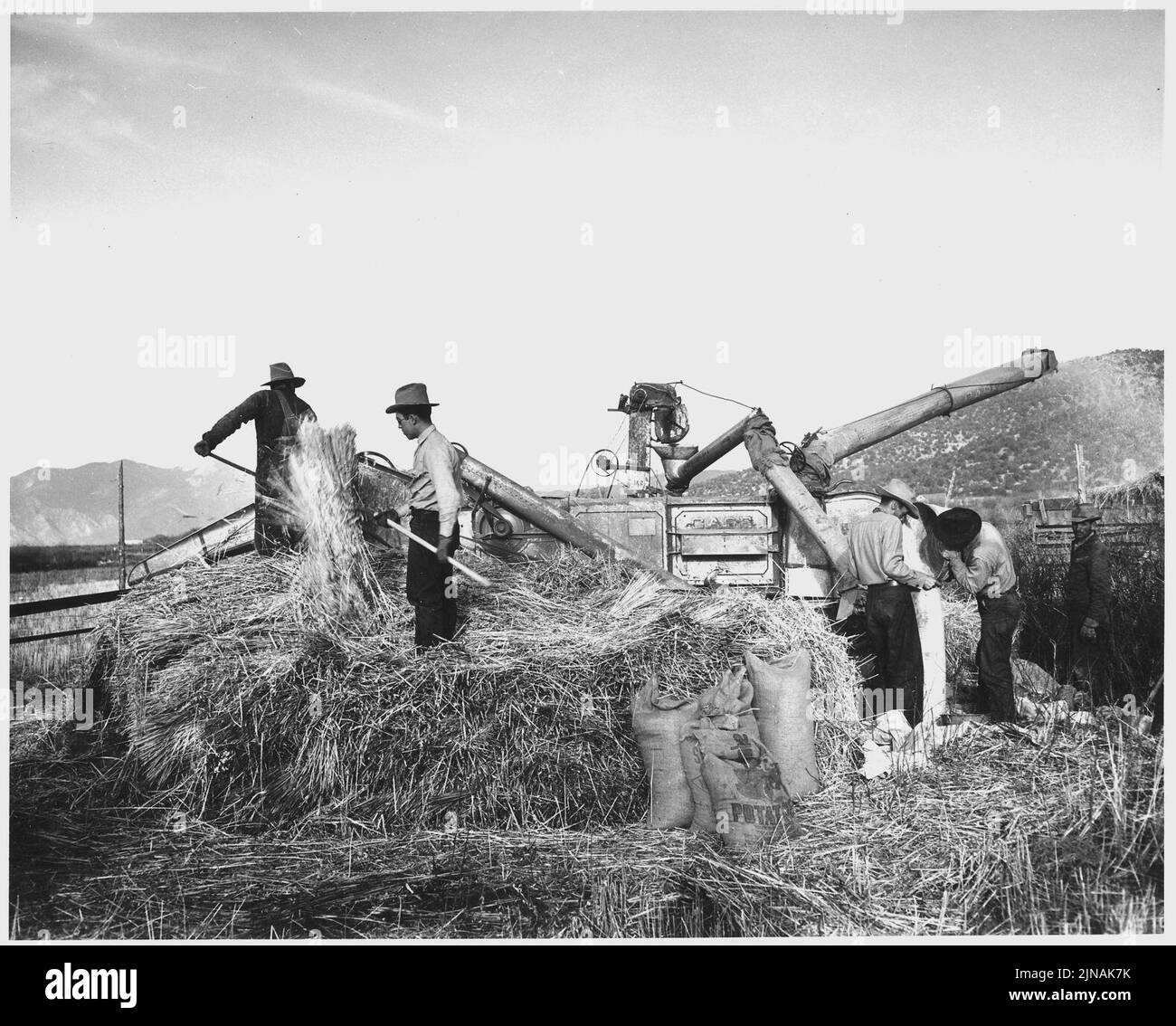Taos County, New Mexico. Threshing wheat by machine, Canyon. Use of ...