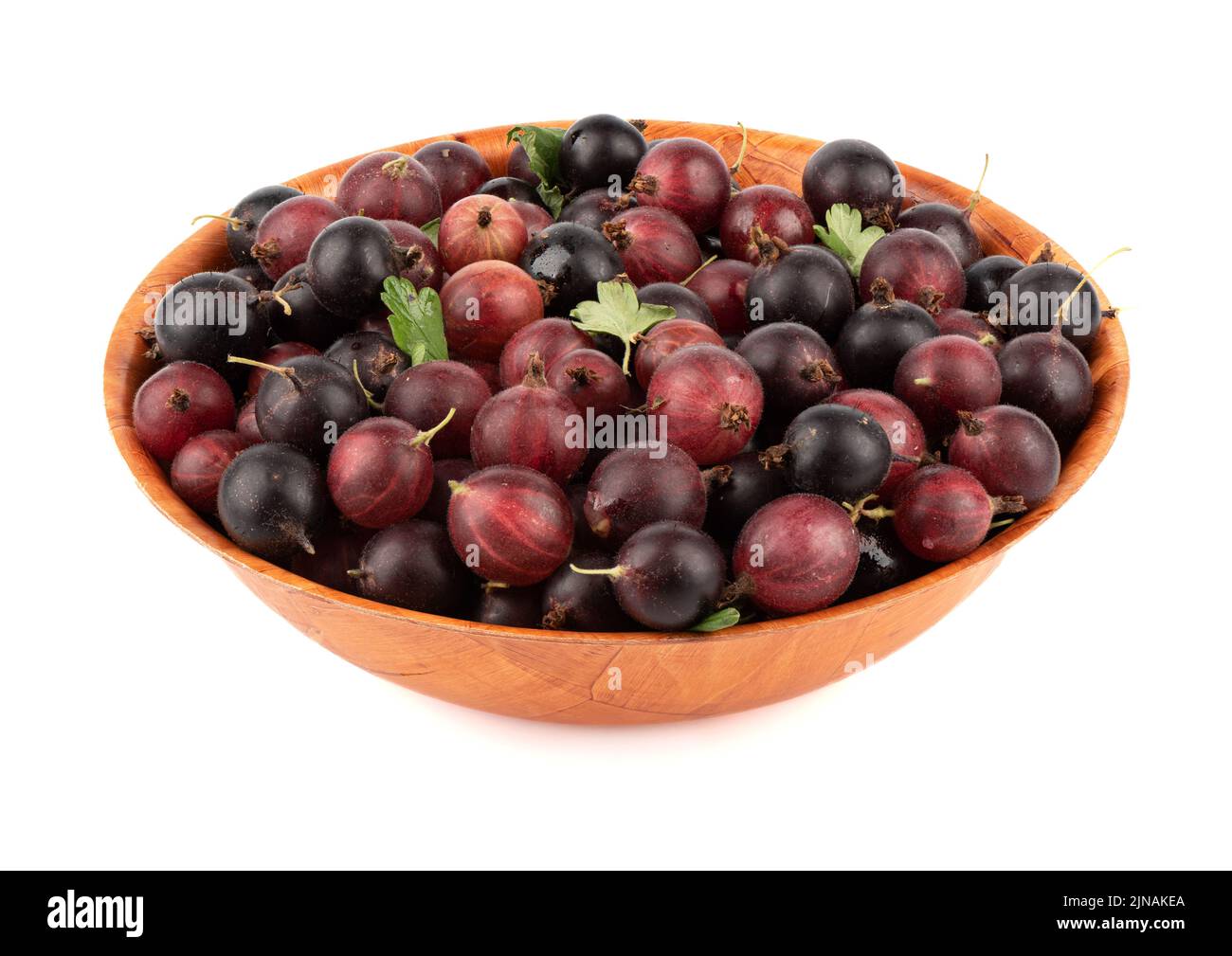 Bowl full of ripe red gooseberries from the new crop over a white ...