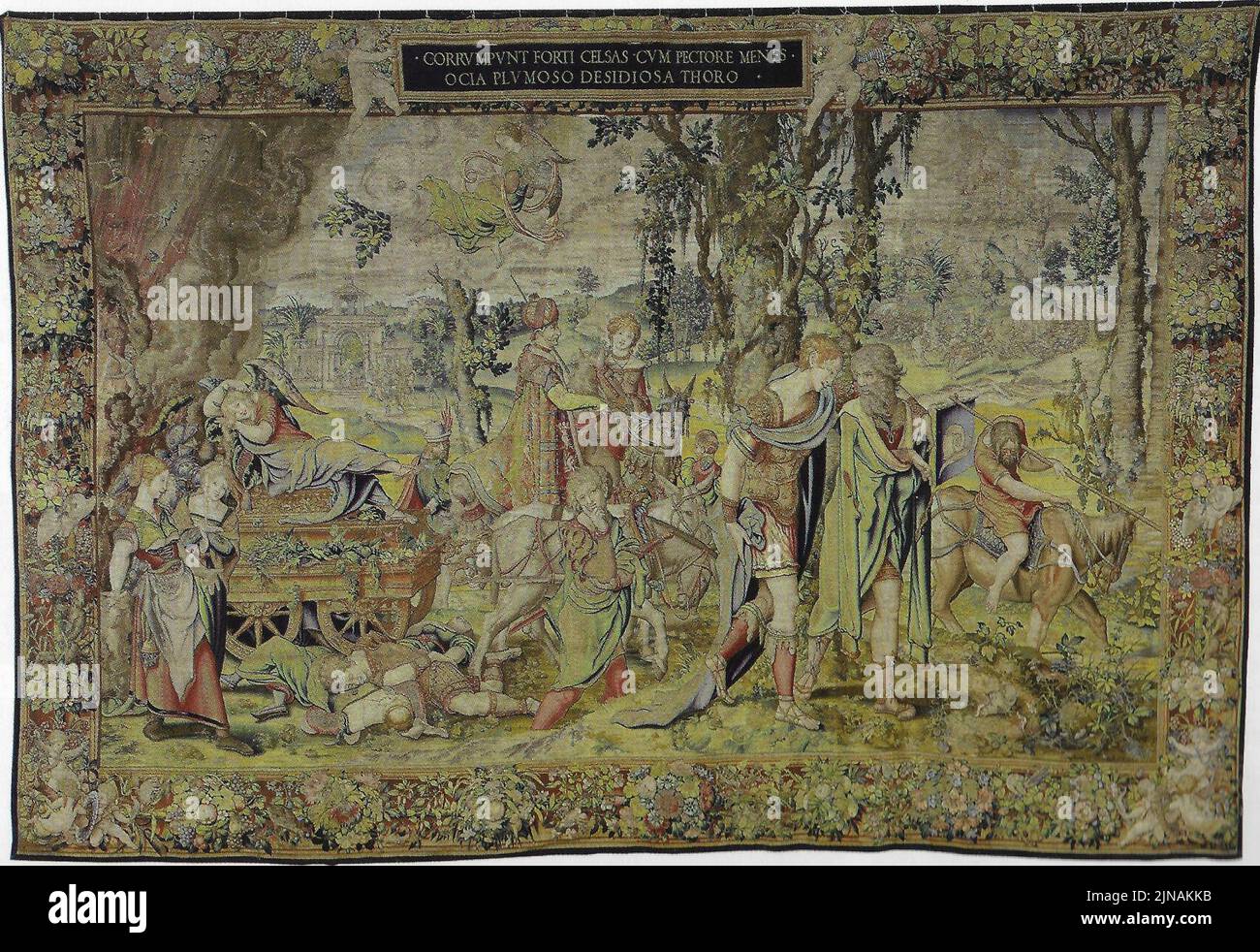 Willem pannemaker hi-res stock photography and images - Alamy