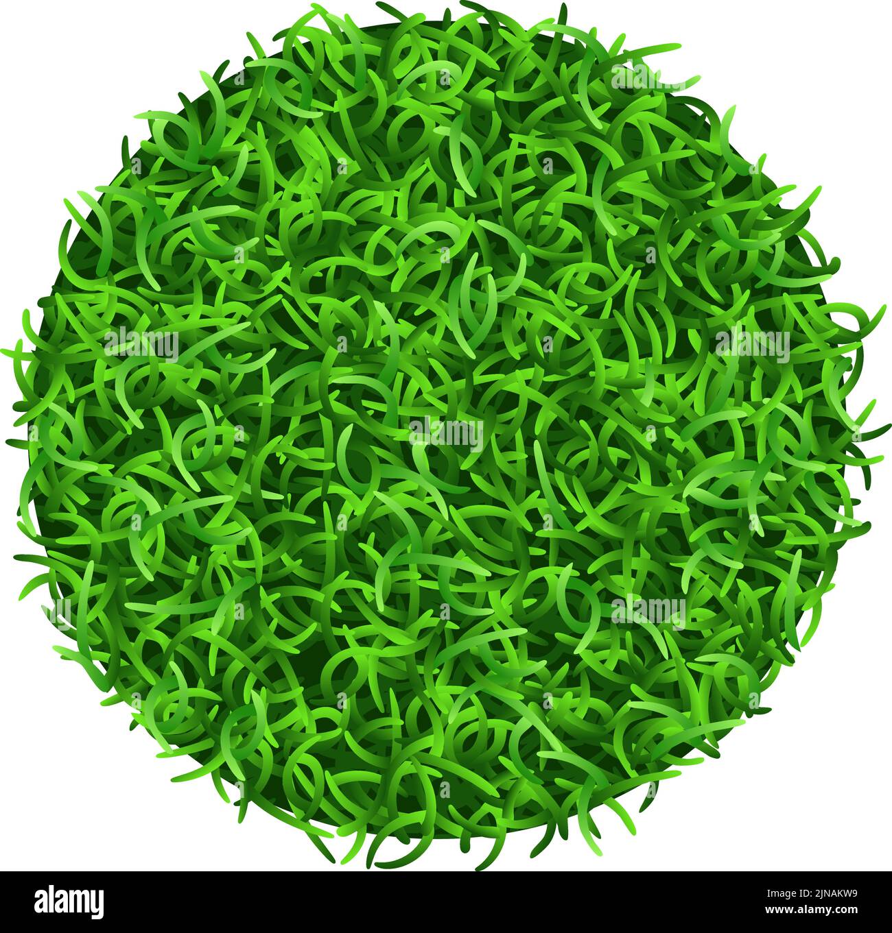 Grass circle. Realistic lawn round patch top view Stock Vector Image ...