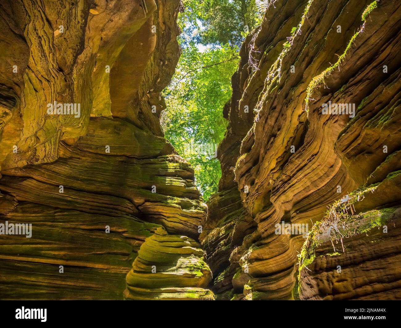 Wooden walkway in Witches Gulch on the Wisconsin River in wisconsin ...