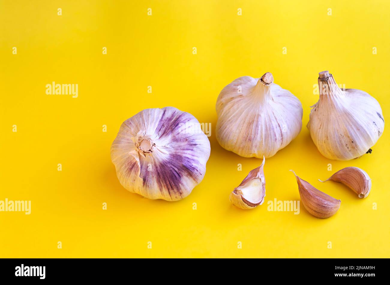 Freshly harvested garlic from the orchard of Spain ready to taste ...