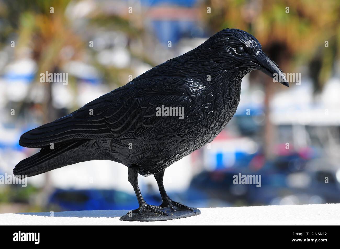 Raven on statue hi-res stock photography and images - Alamy