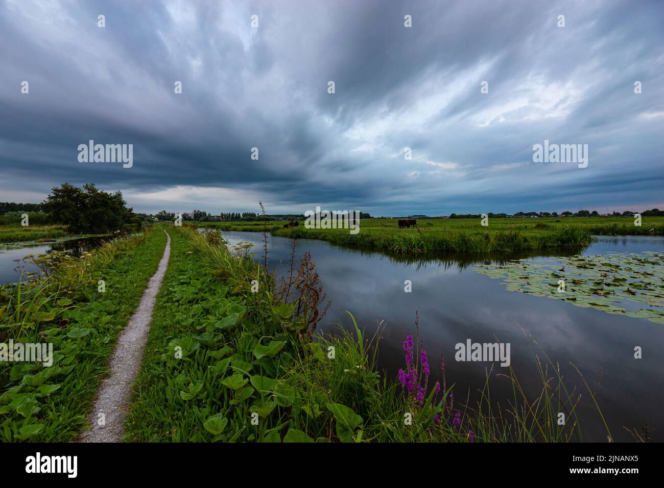 Ominous clouds over a path between water filled ditches in the dutch ...