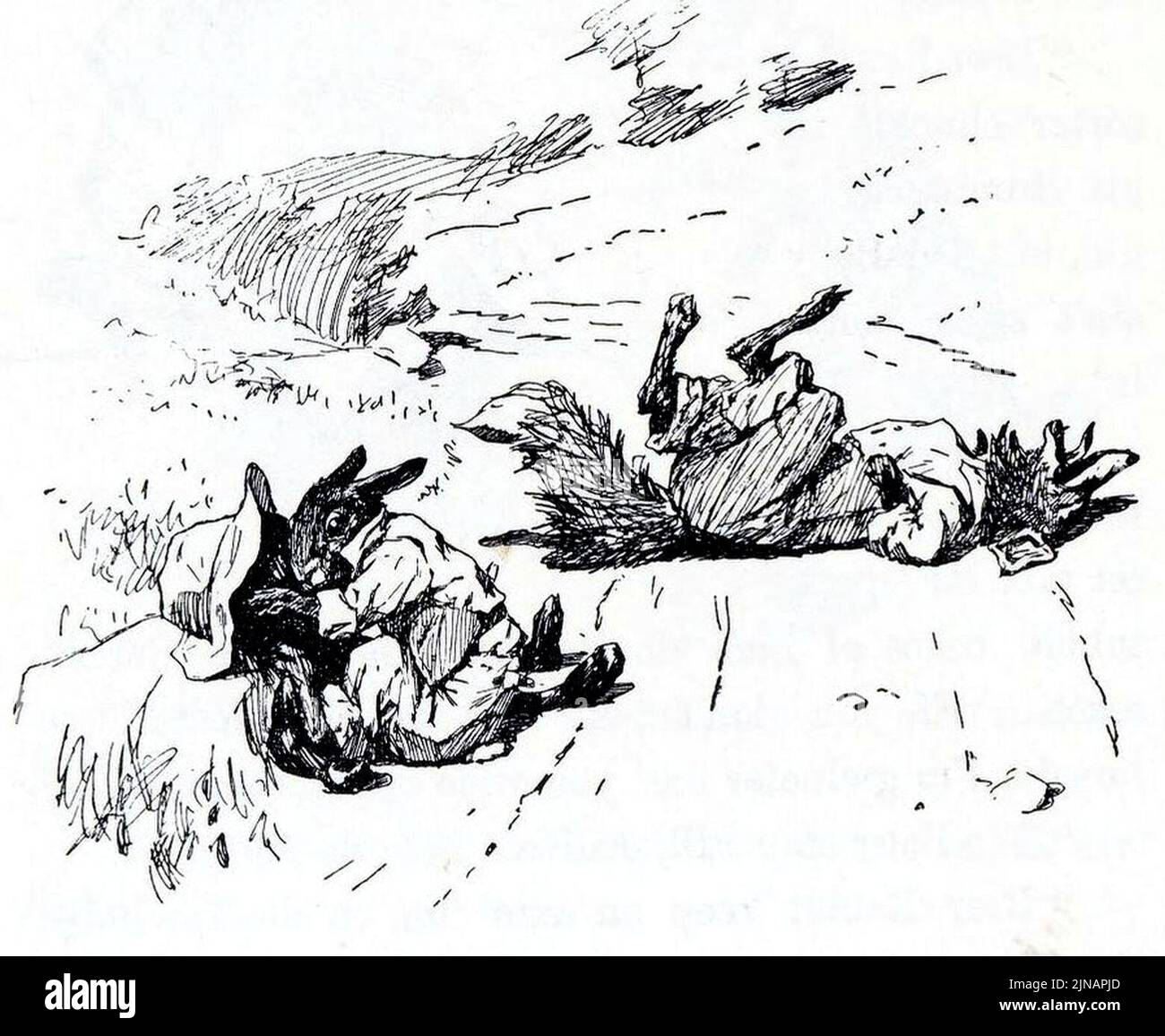 Tar-Baby holding Brer Rabbit by all his legs and his head Stock Photo ...