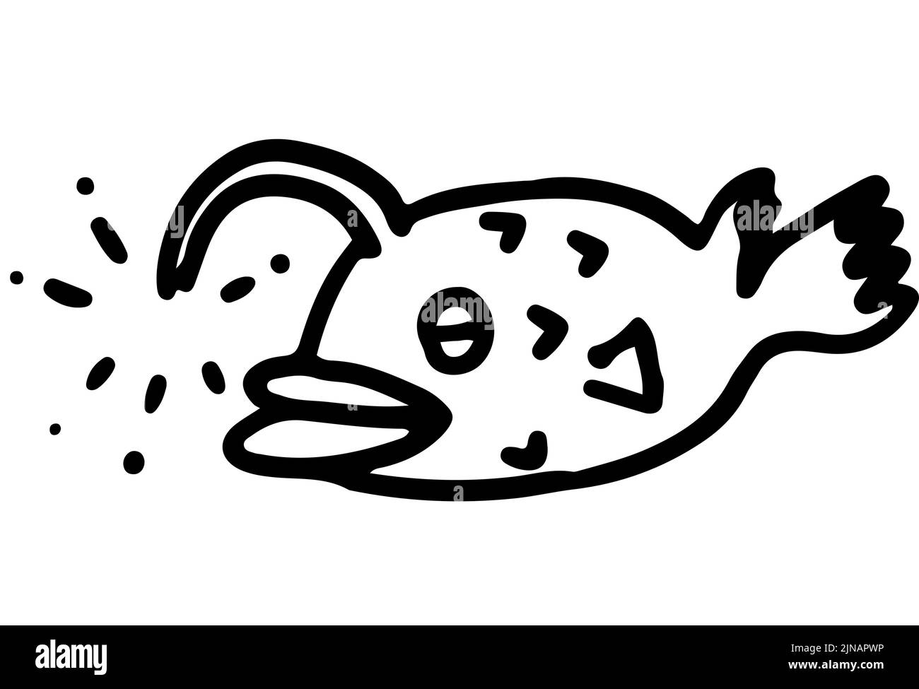 Atlantic Football Fish