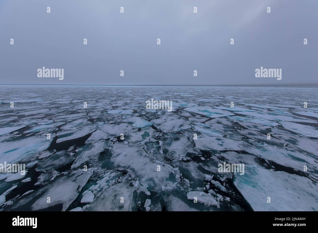 Floating Pack Ice in the arctic ocean. The snow covered blue glacial ...