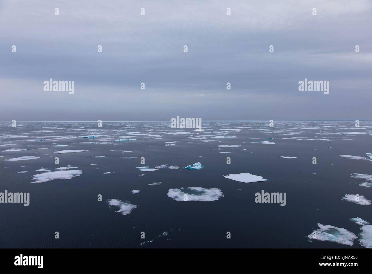 Floating Pack Ice in the arctic ocean. The snow covered blue glacial ...