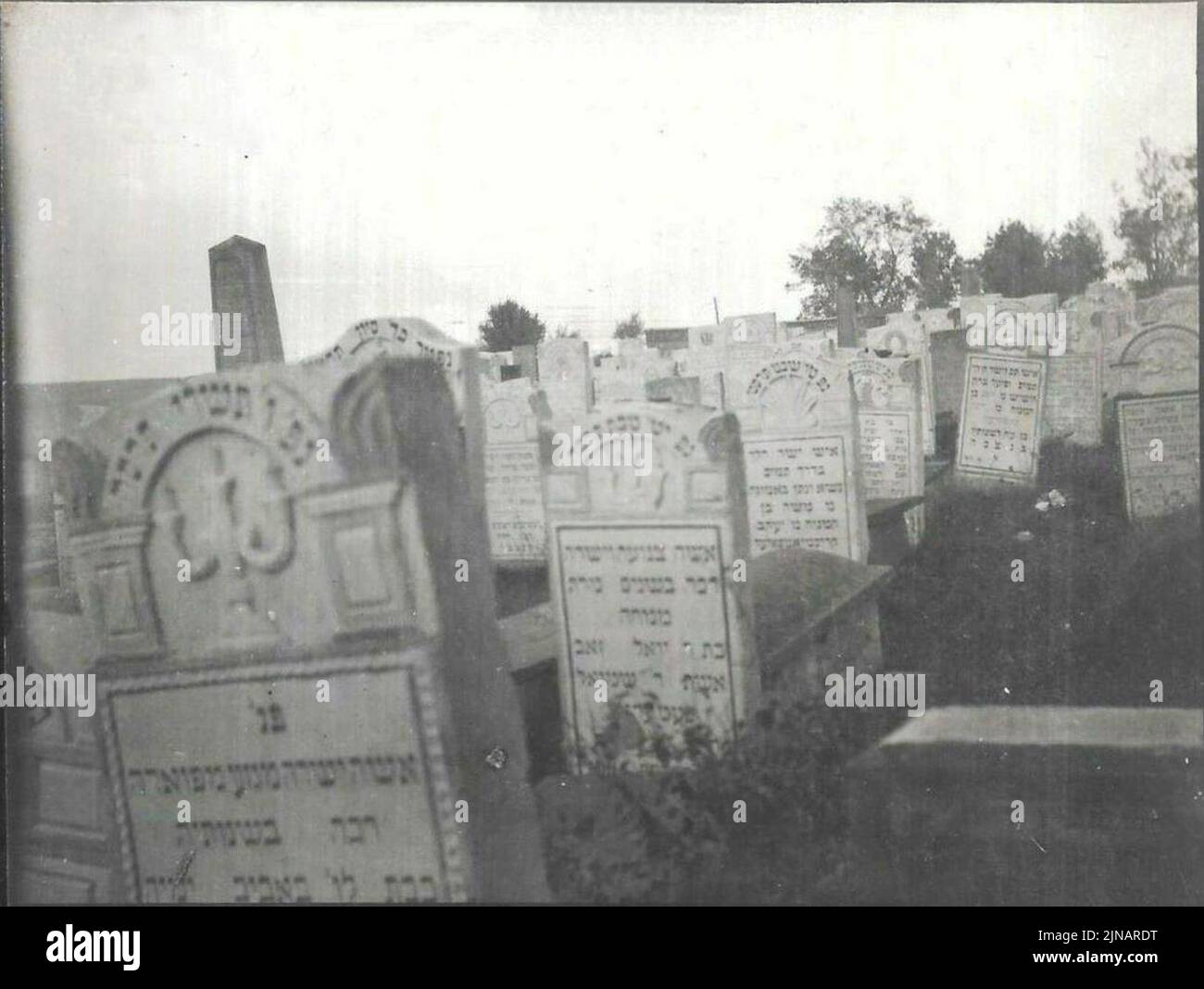 Tarnopol. Jewish cemetery Stock Photo - Alamy