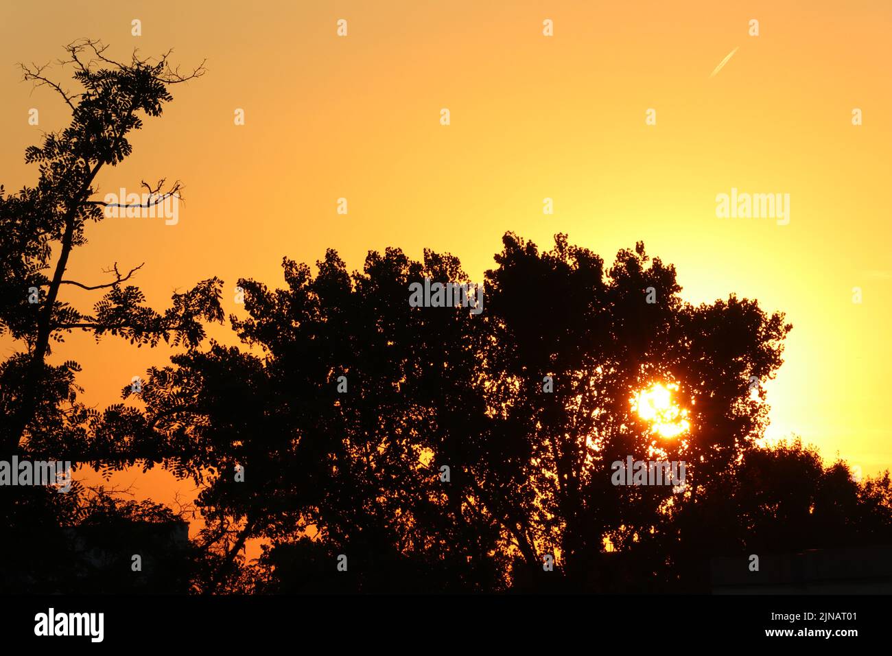 Sunset behind trees Stock Photo - Alamy