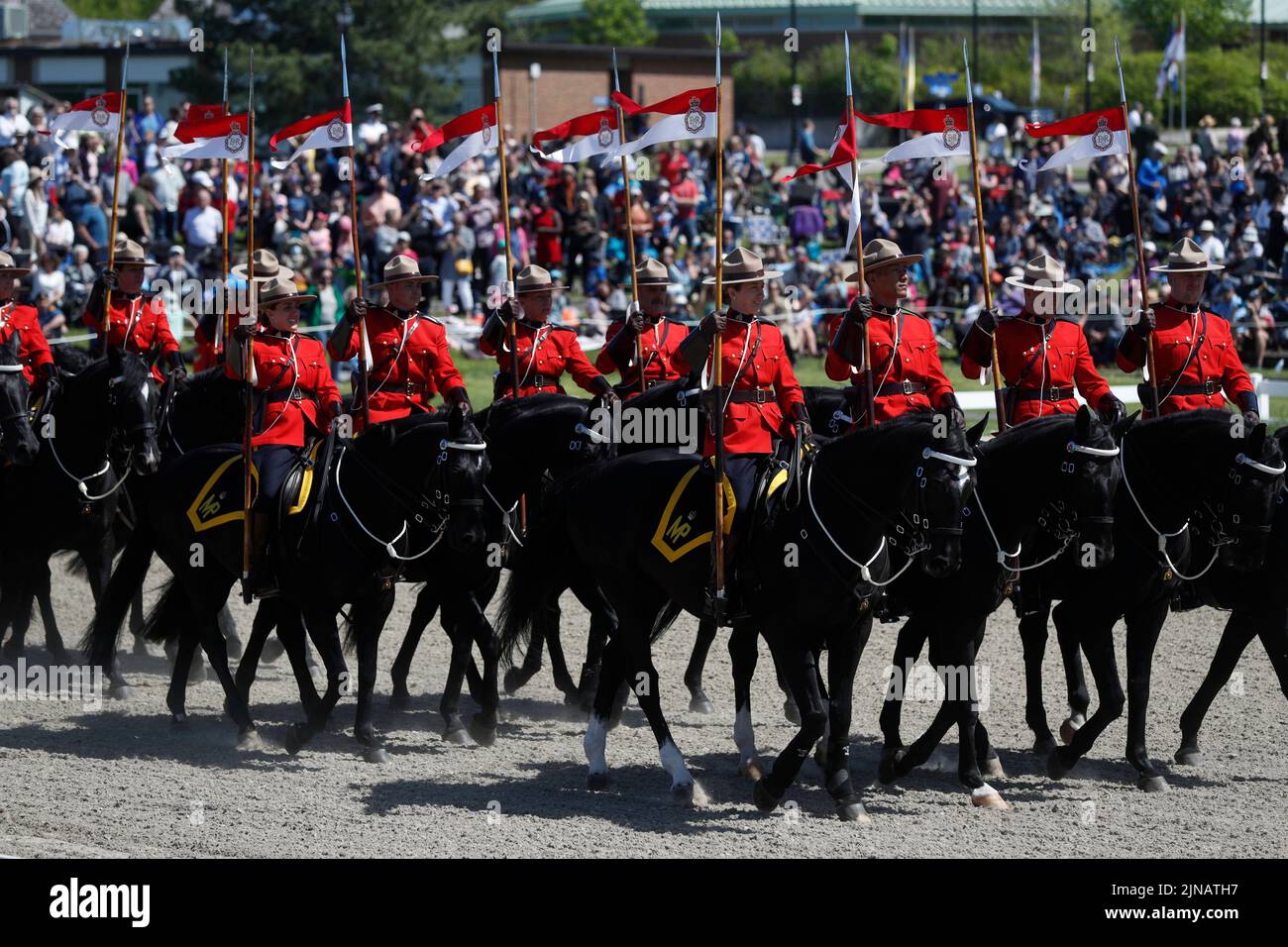 Rcmp horse hi-res stock photography and images - Alamy