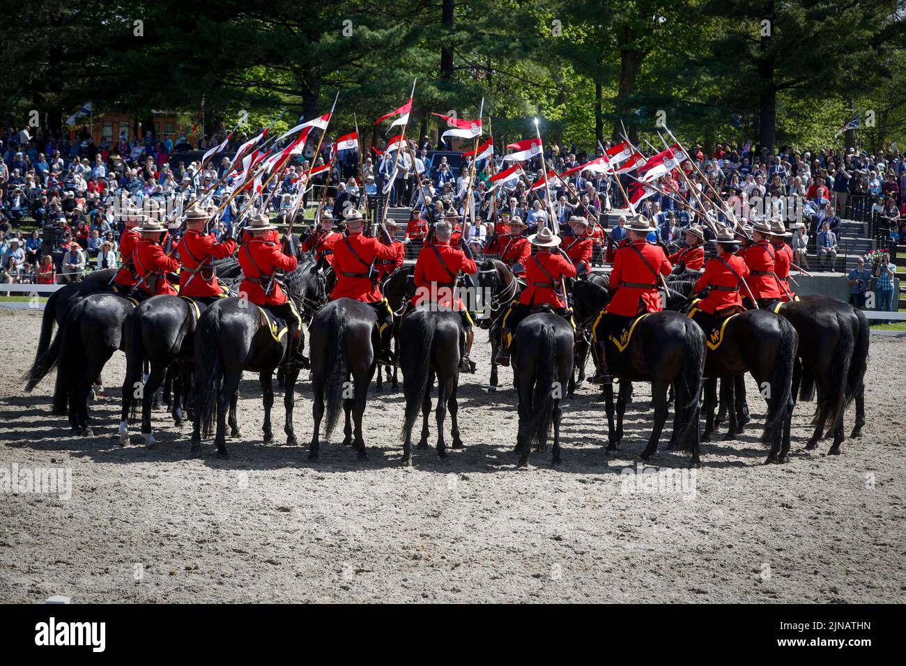 Officers from the RCMP Musical ride arrive for a performance in Ottawa ...