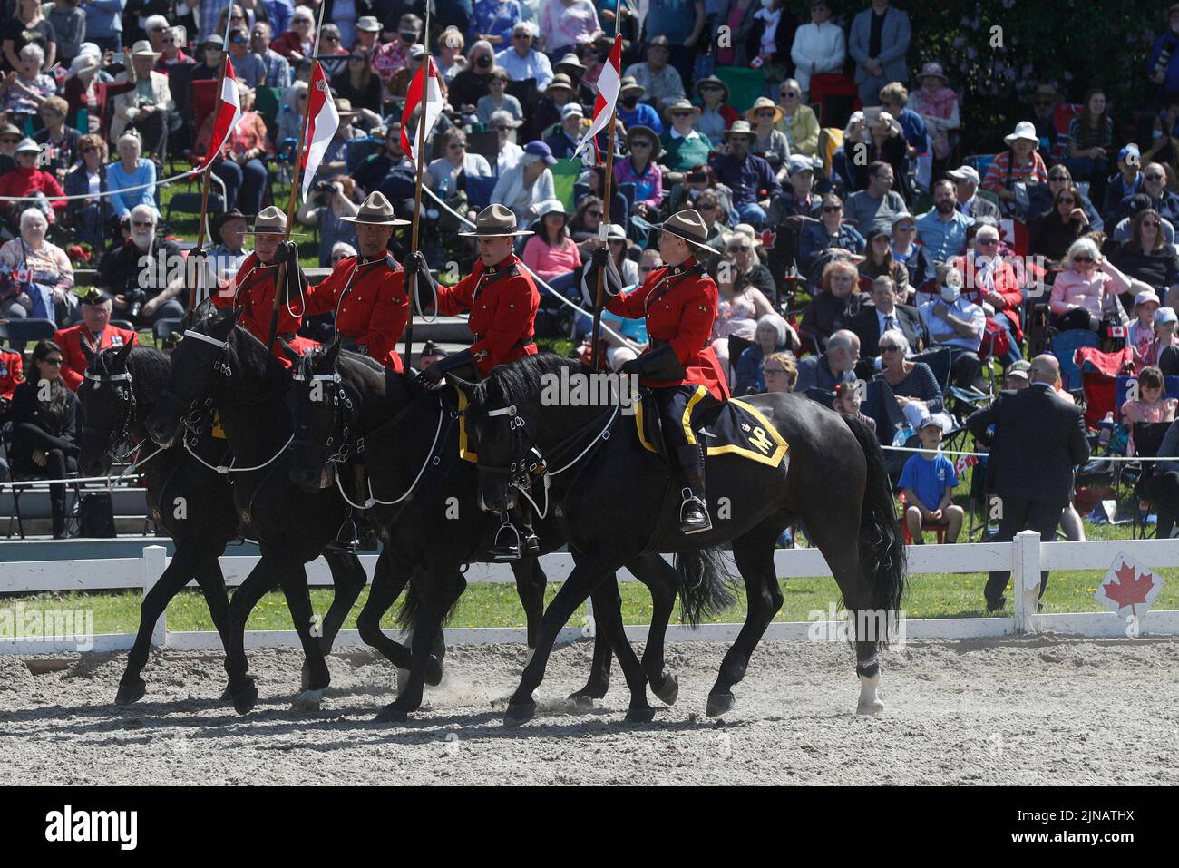 Rcmp on his horse hi-res stock photography and images - Alamy
